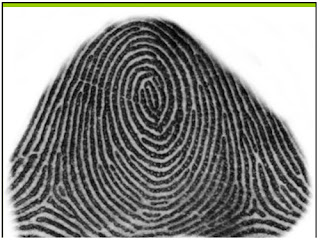 Medicina Forense: Dactiloscopia