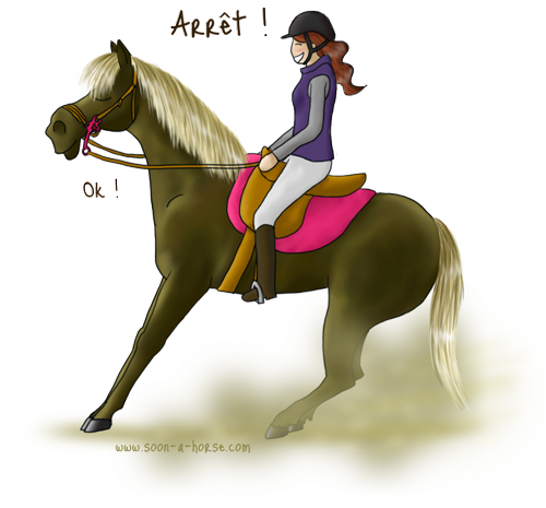 Soon a horse: Le Hackamore : pourquoi et comment s'en servir