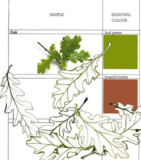 Planet Sam: Colour from the Season - Oak leaf green