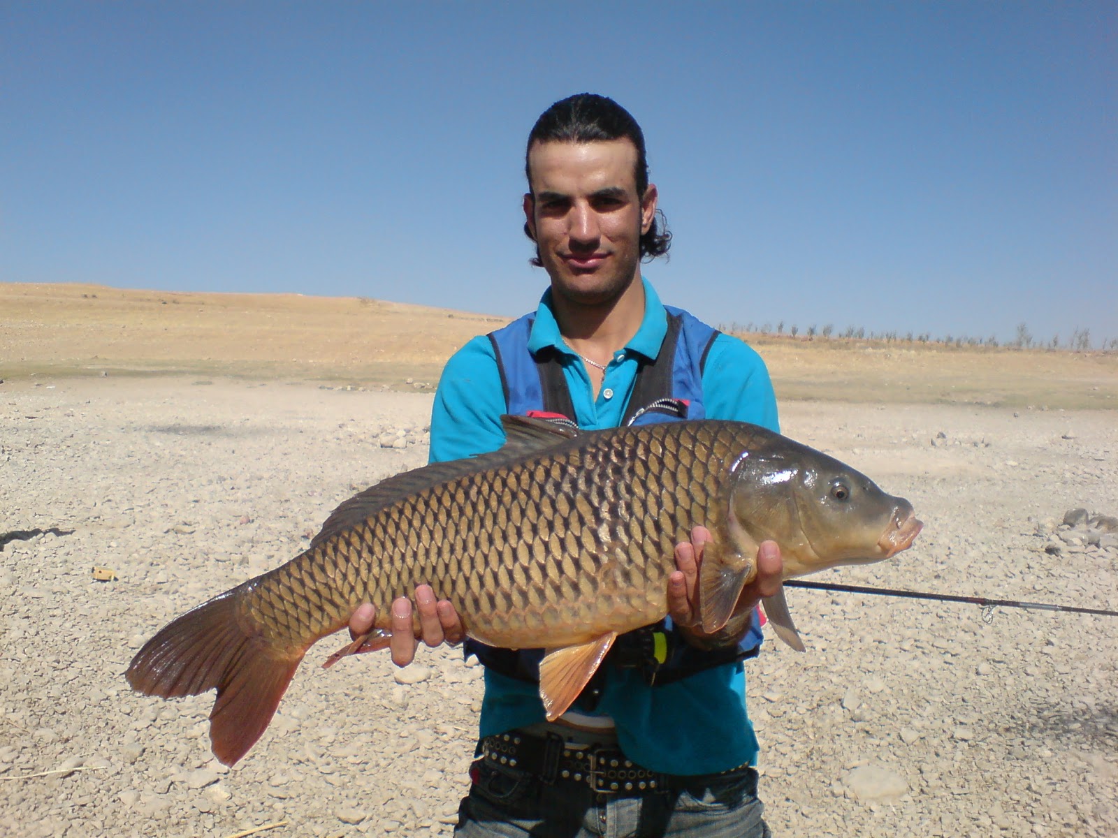 Ebi Fisher: carp fishing for iran