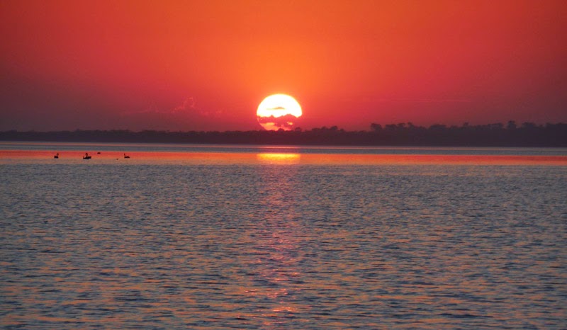 The Conspiracy Times: Kayaking Gippsland Lakes