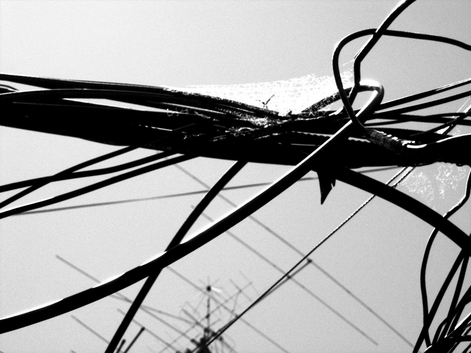 Andy Bier - Cables En La Azotea - Fotografía : Revista El Bosco