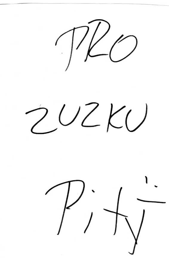 Zuzu's Autograph Collection: VyVolení 2