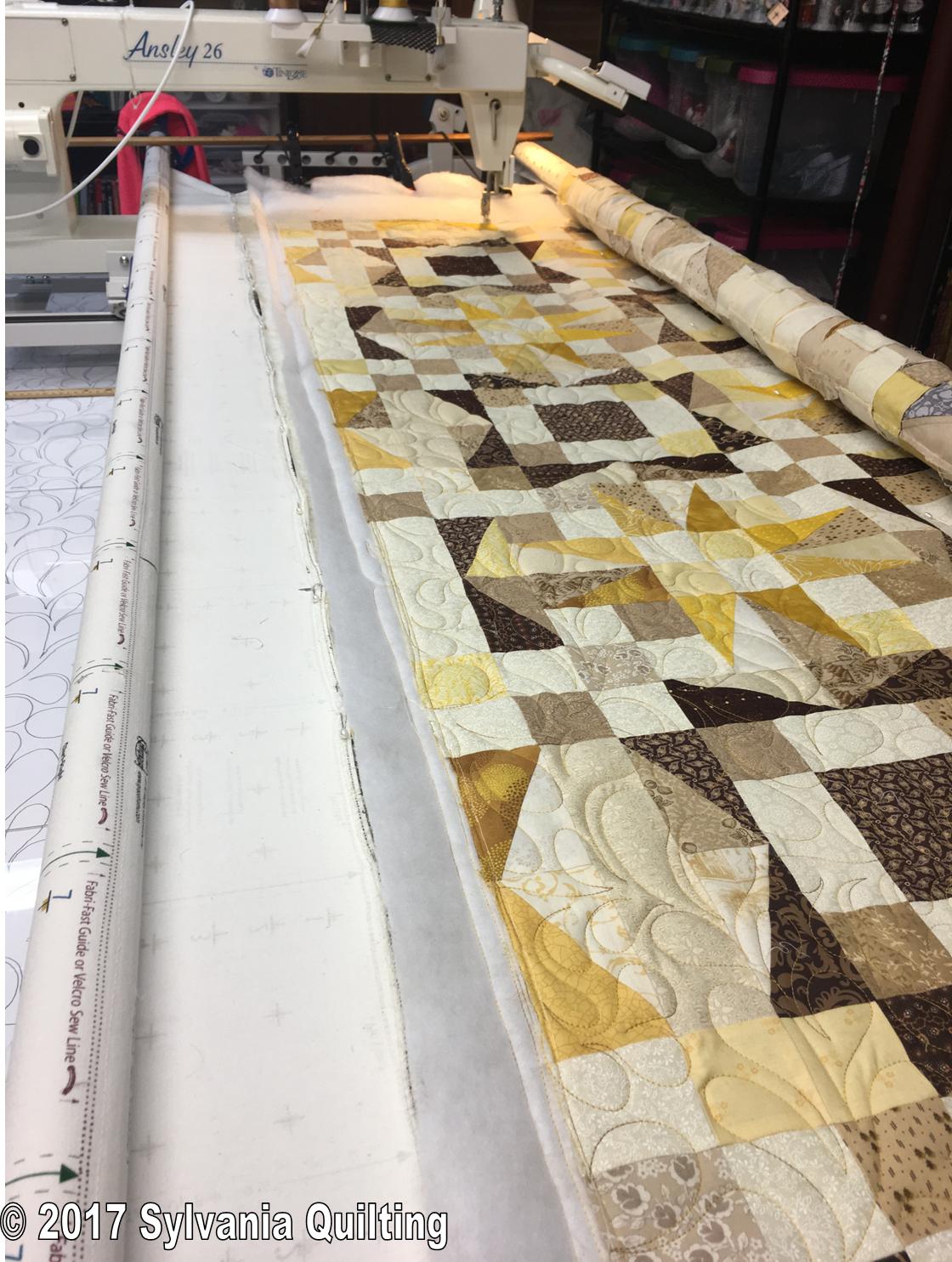 Sylvania Quilting: Amy's Quilt