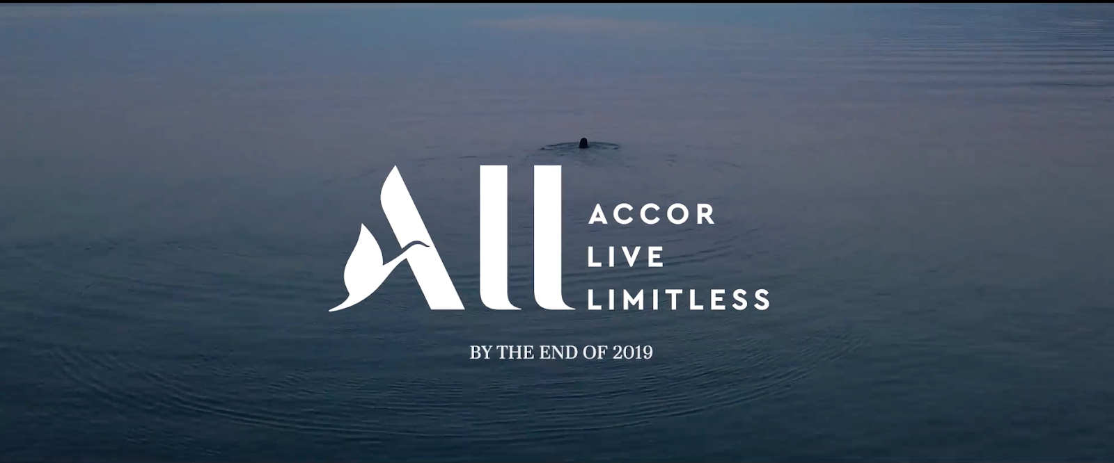 毛氏旅社／Studio Mo