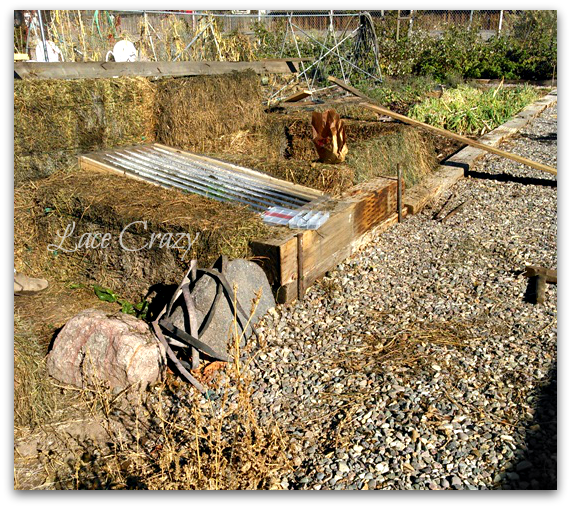 Lace Crazy: Hay Bale Cold Frames for the Garden...