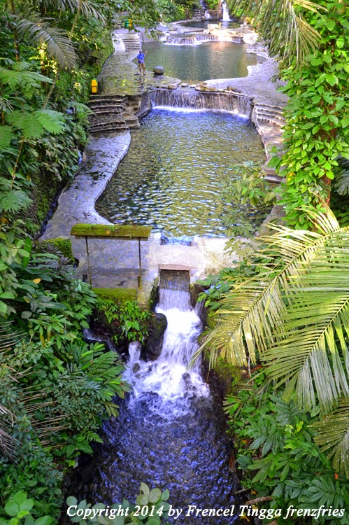 Frenz Fries: Hidden Valley Springs: Found at Last