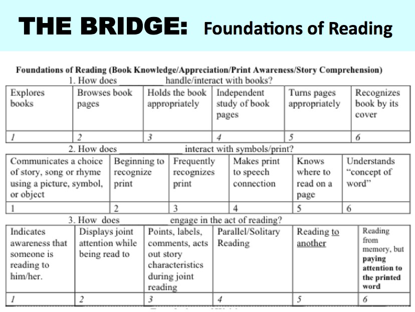 AAC Girls: The Bridge Assessment