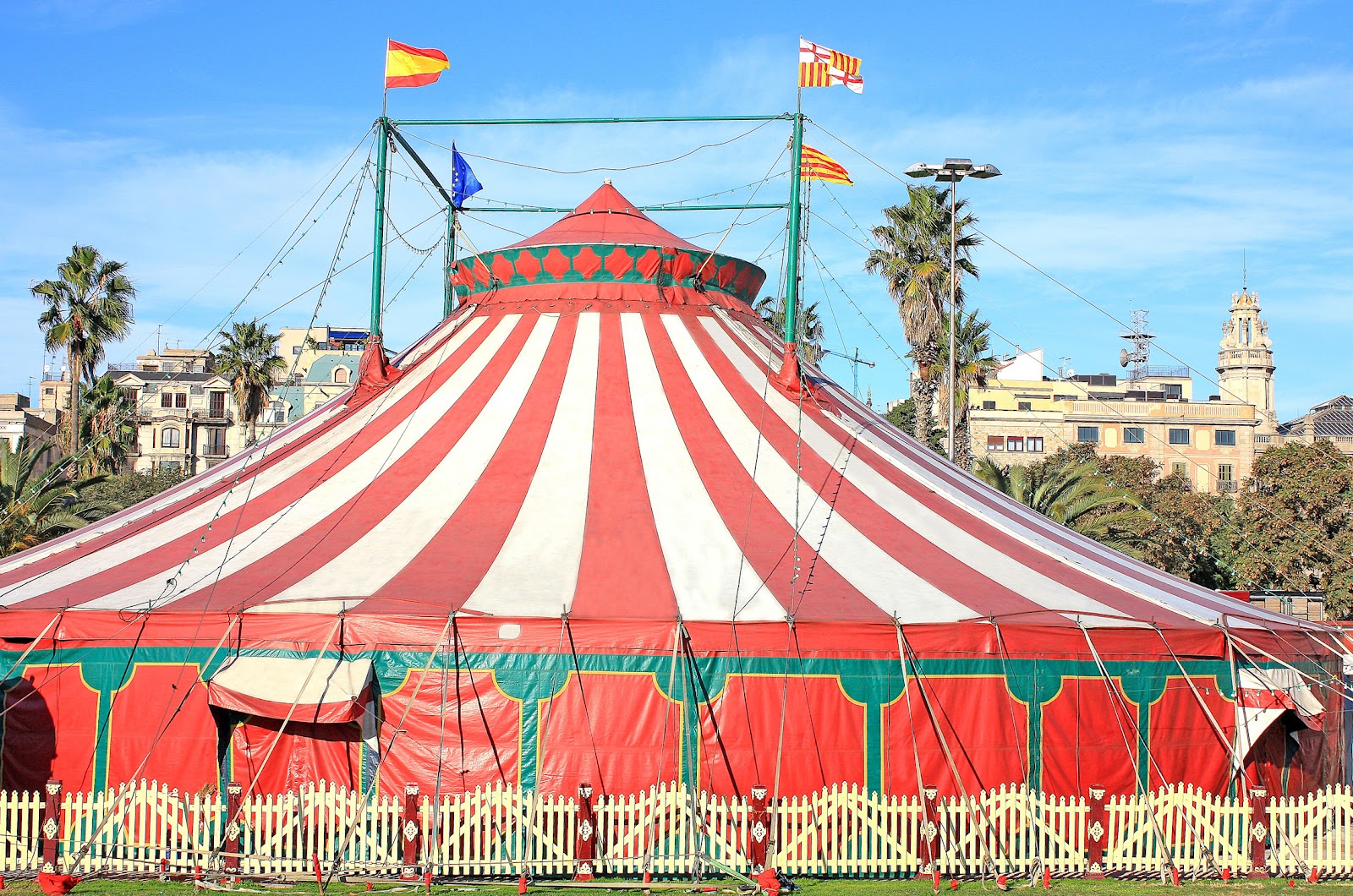 BLOG DO PROFESSOR MAX: O CIRCO