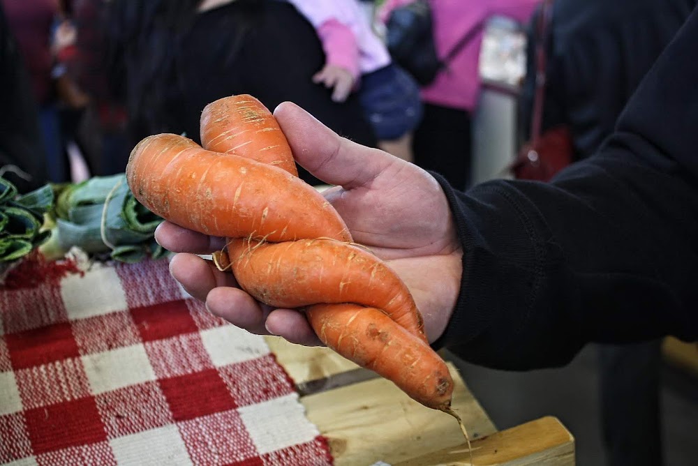 Eye Candy: My Hugging Carrots