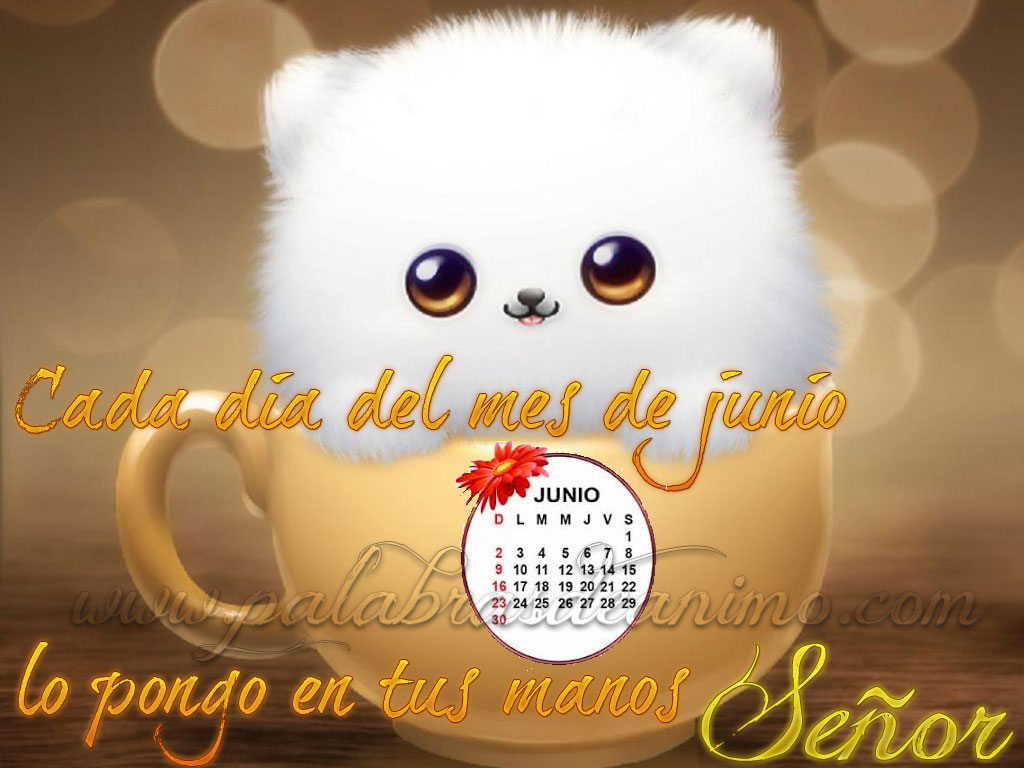 Imagenes de Junio - IMÁGENES BONITAS de Amor, Amistad, Graciosas ...