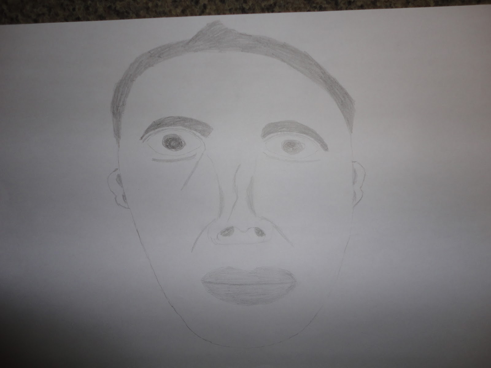 Sketches: Animal Morph