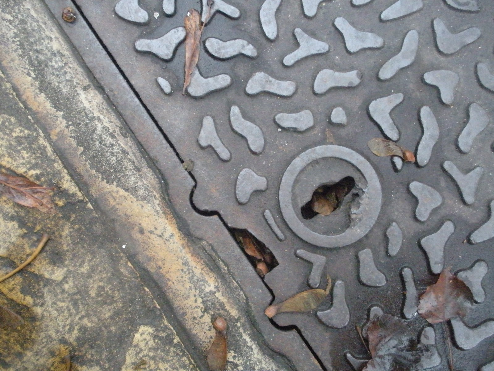 Juan_Caneba_groupc: Boyle Family experiment 27/11/12