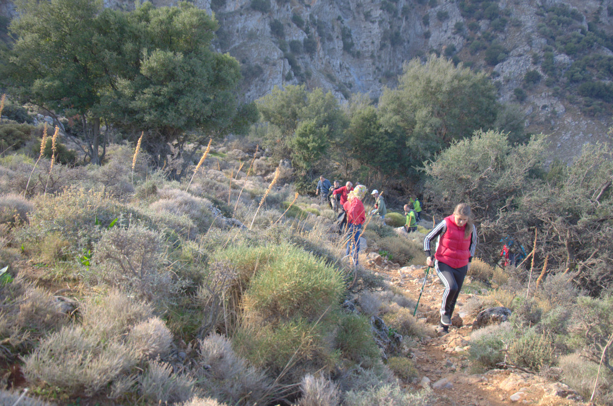 EXPLORE MOUNTAINS: ΠΕΖΟΠΟΡΙΑ ΜΙΛΛΙΑΡΑΔΩΝ (ΕΜΠΑΡΟΣ)-ΑΝΩ ΒΙΑΝΝΟΣ