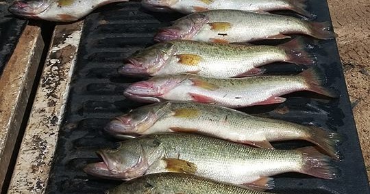 Marian's Hunting Stories, etc., etc., etc...: A Tailgate Full