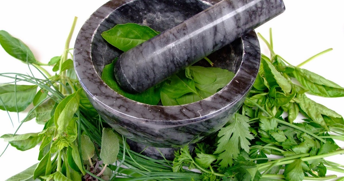 Numen : The Healing Power of Plants - Psychedelic Adventure