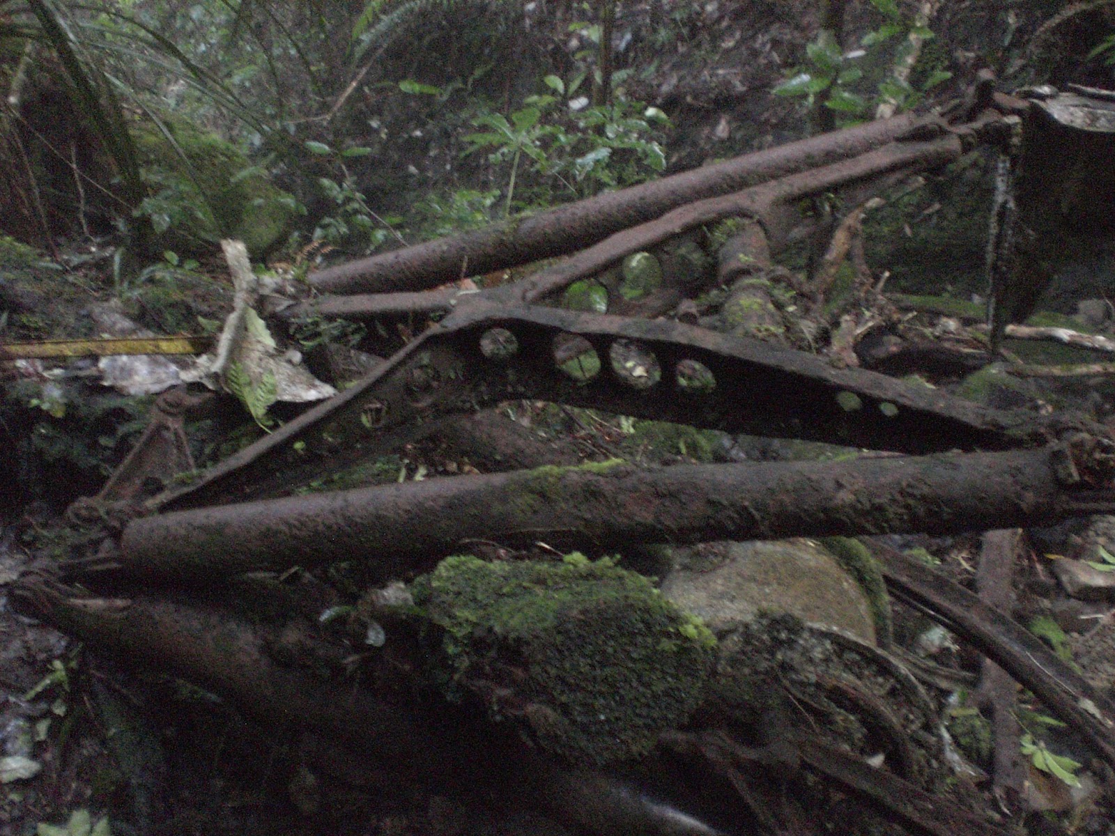 50th Anniversary of Flight 441 Fatal Accident. Part 1: Visit to Crash Site