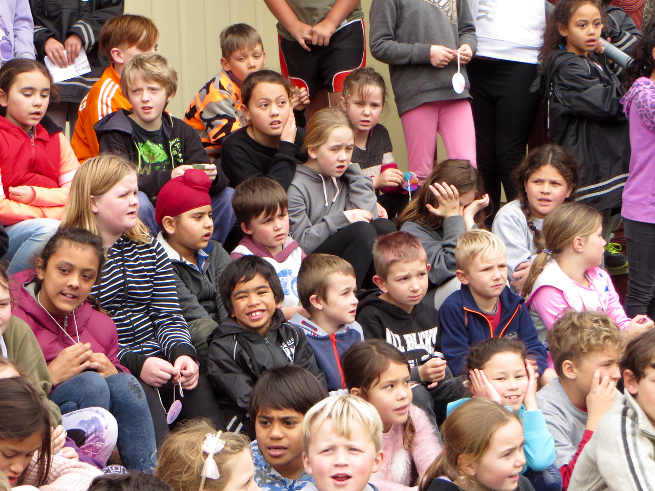 Room 3 Firth Primary School