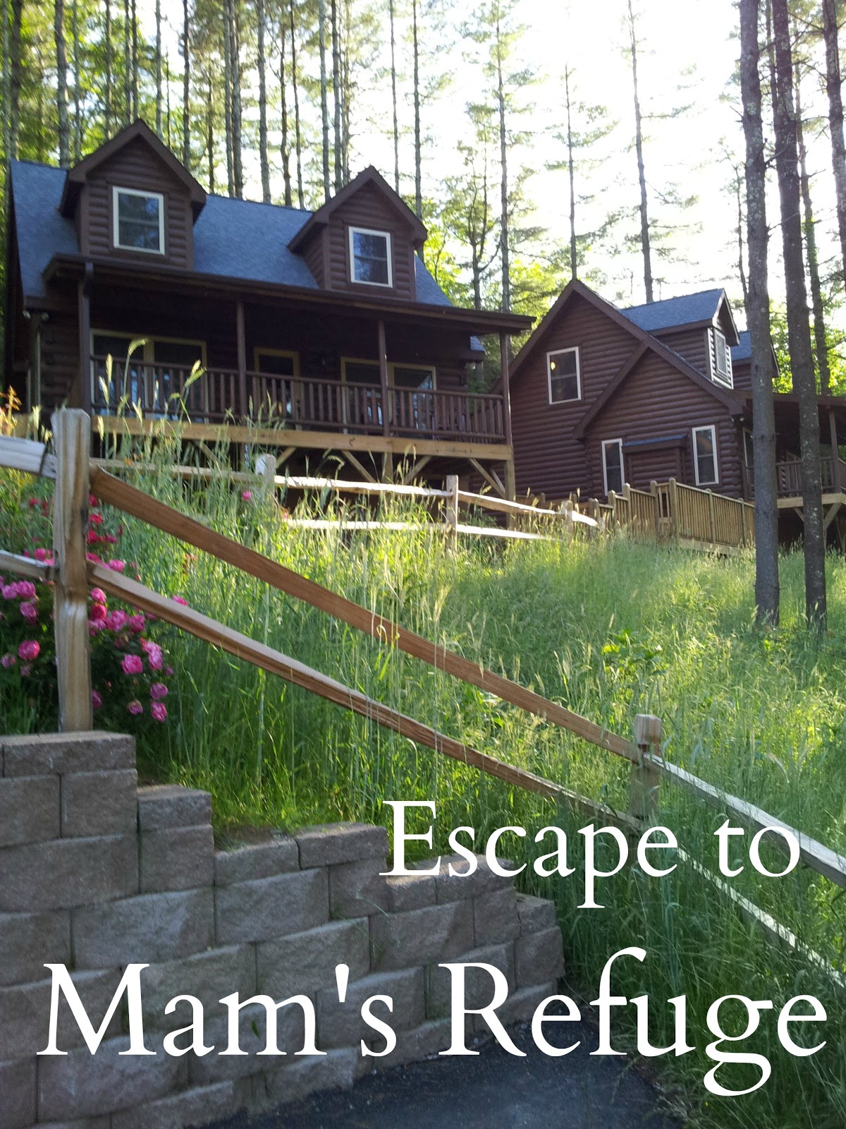Pack Your Bags: A Traveler's Look at The Mast Farm Inn in Valle Crucis ...