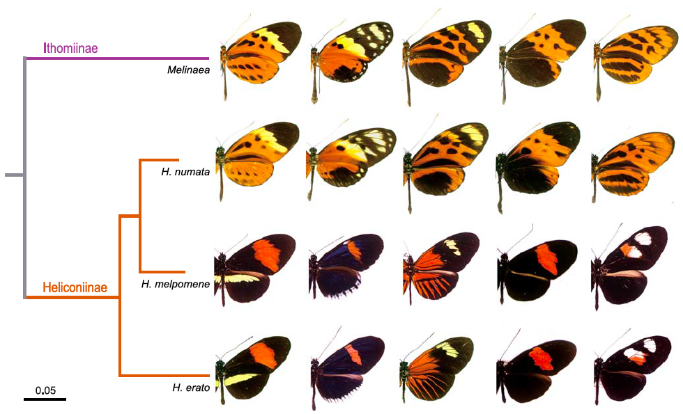 Life Science Informer