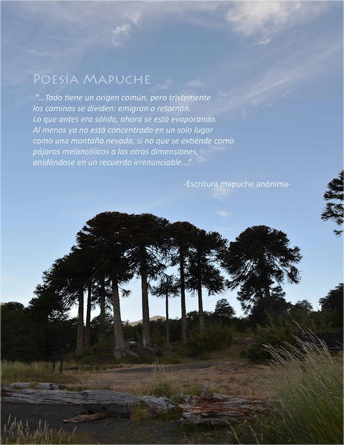 Cine y Documental Mapuche: POESÍA MAPUCHE