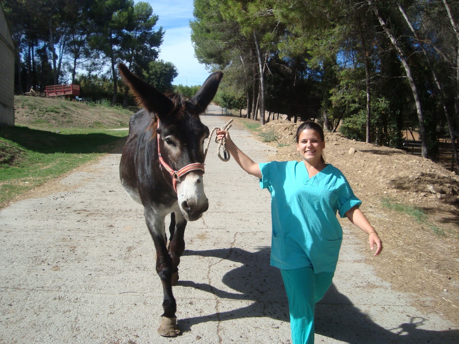 CATALONIAN DONKEYS' REPRODUCTION AT AUTONOMOUS UNIVERSITY OF BARCELONA ...