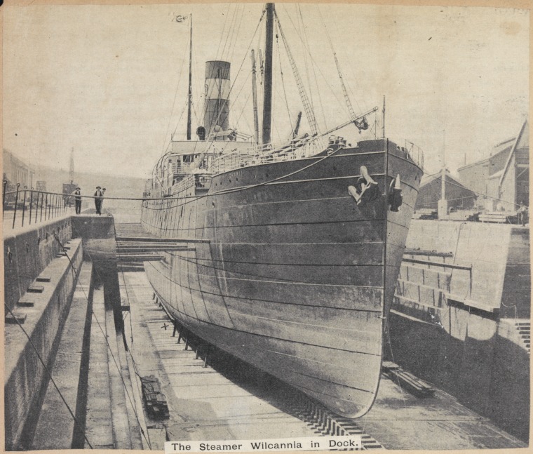 ss Waratah, A Professional Analysis : June 2017