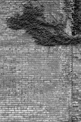 travis markel [photographer]