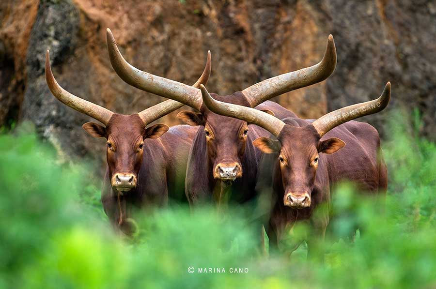 Buckets & Spades - Men's Fashion, Design and Lifestyle Blog: Marina ...