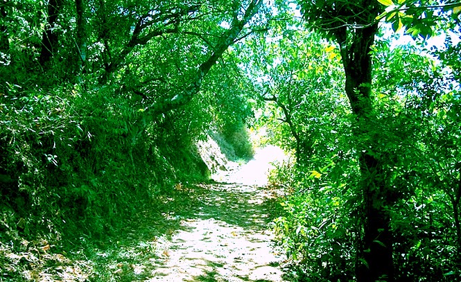 God's Own Country: PAITHALMALA