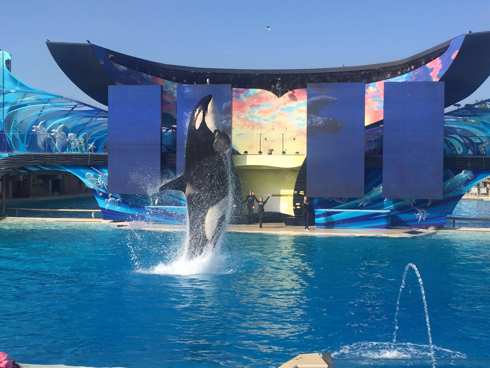 Travel Diary: Guide to Visiting SeaWorld San Diego — Raincouver Beauty