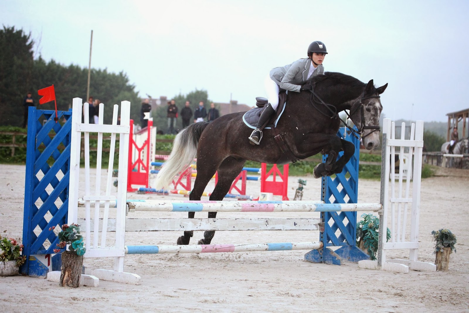 MISS PONY TAIL: LES GAGNANTES DU MEILLEUR LOOK CONCOURS et ECURIE