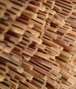 The Violin Shop: Colonizaton & Commerce: Pernambuco Wood and the ...