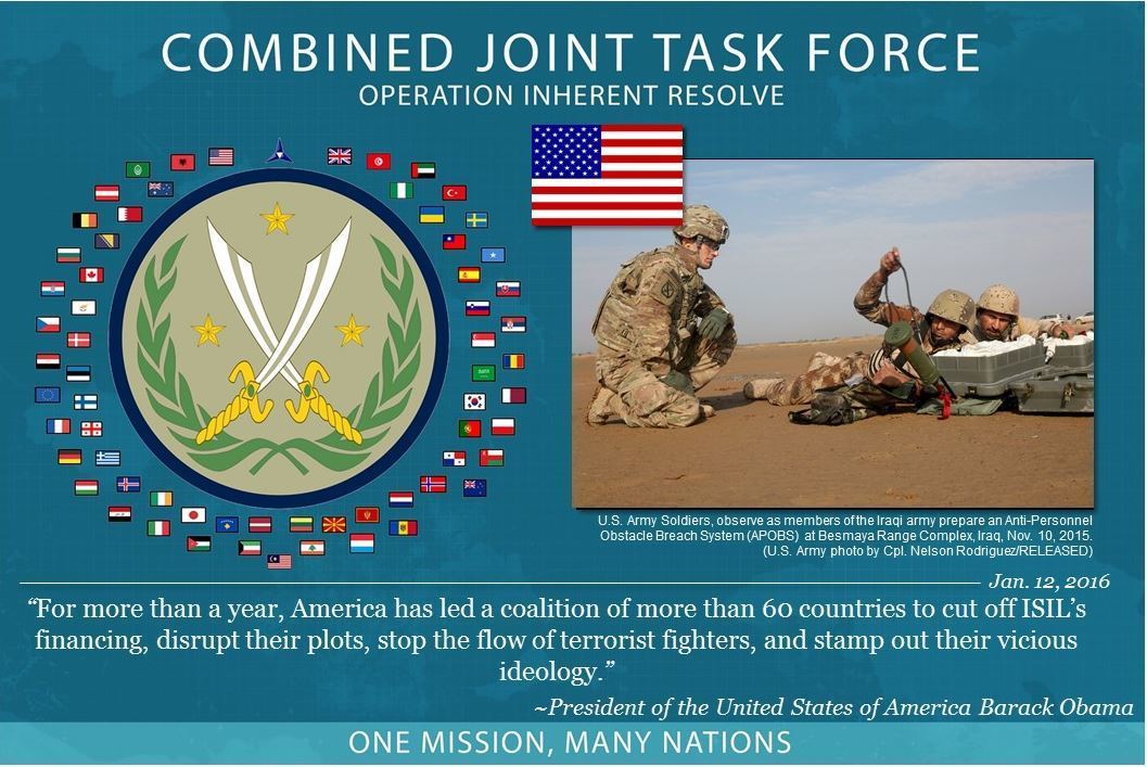 SNAFU!: An illustration of failure via Combined Joint Task Force ...