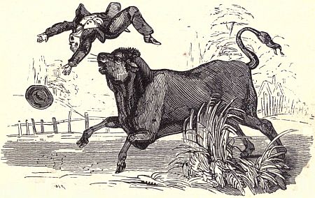 Simply Snickers: This blog prompt grabs the bull by the horns.