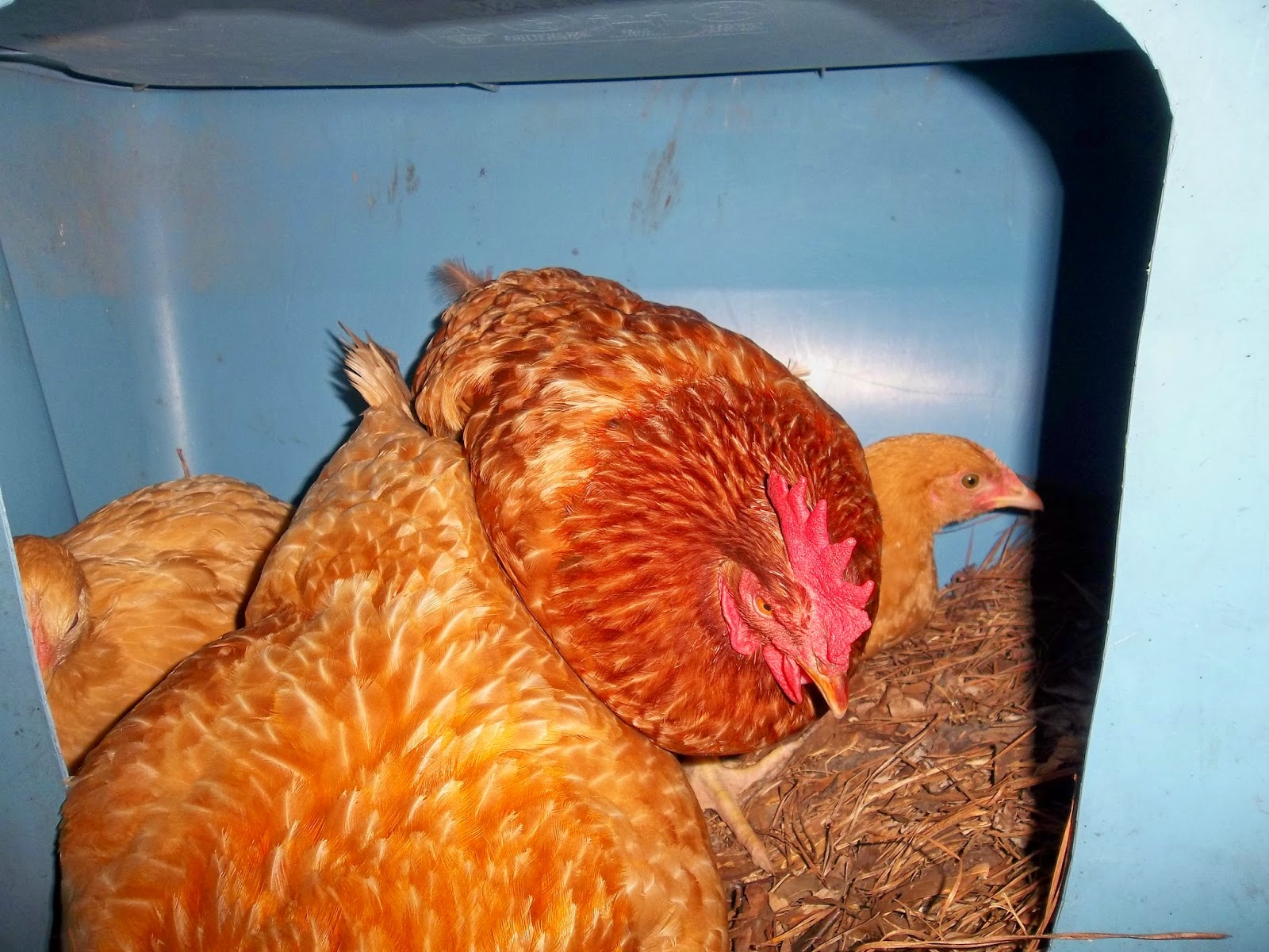 PRACTICAL PARSIMONY: Awww! Group Cuddle