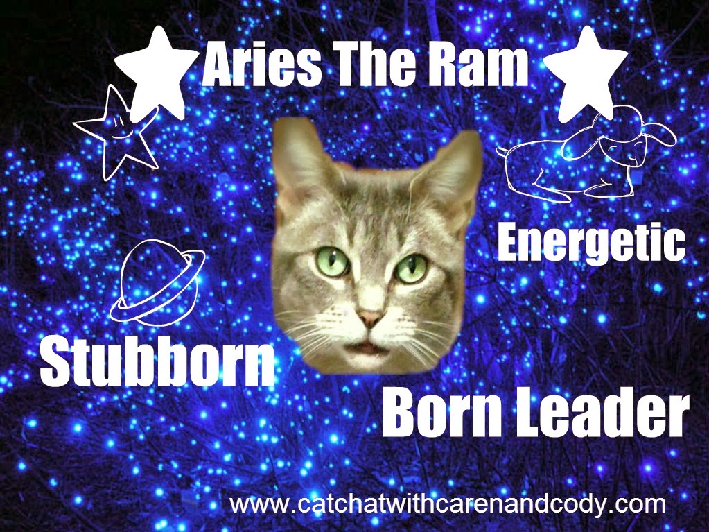 Cat and DOG Chat With Caren: The Aries Cat with a Libra Mom