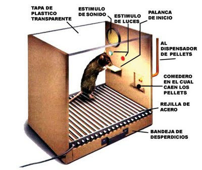 Aprendizaje y Condicionamiento para Alumnos de Psicología: Caja de Skinner