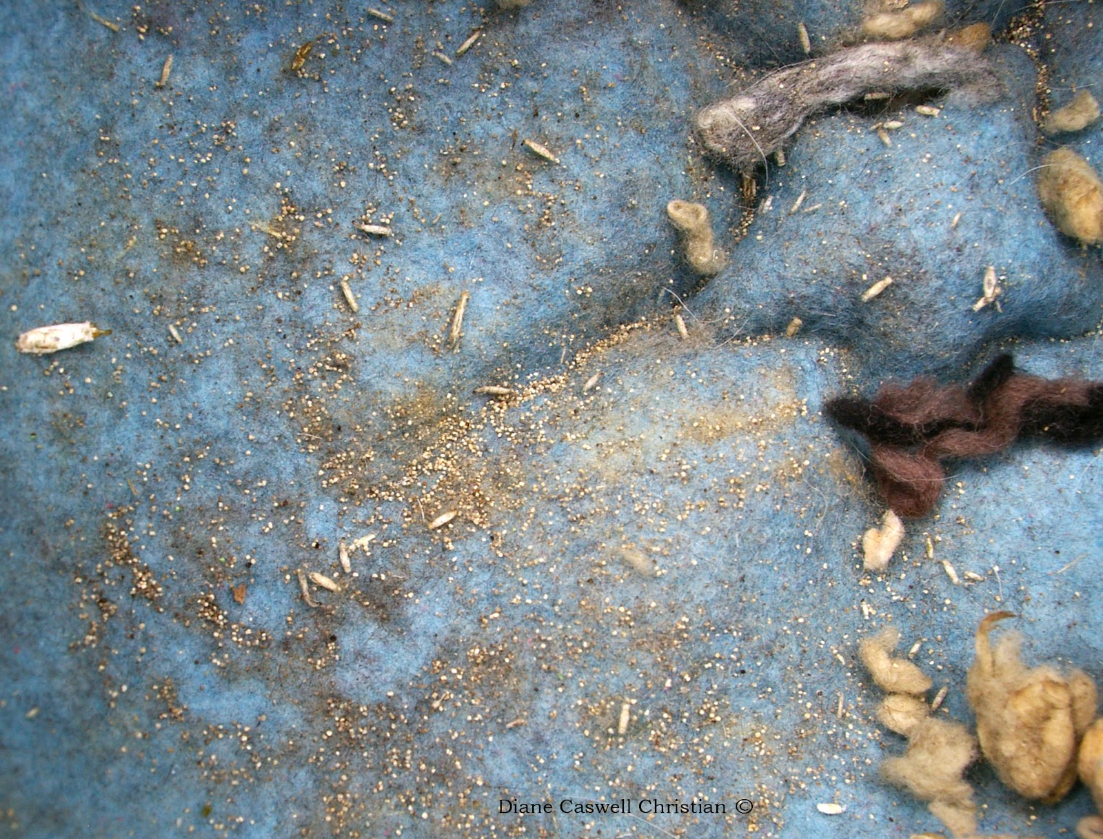 Felt Inspiration: The Dreaded Wool Moth