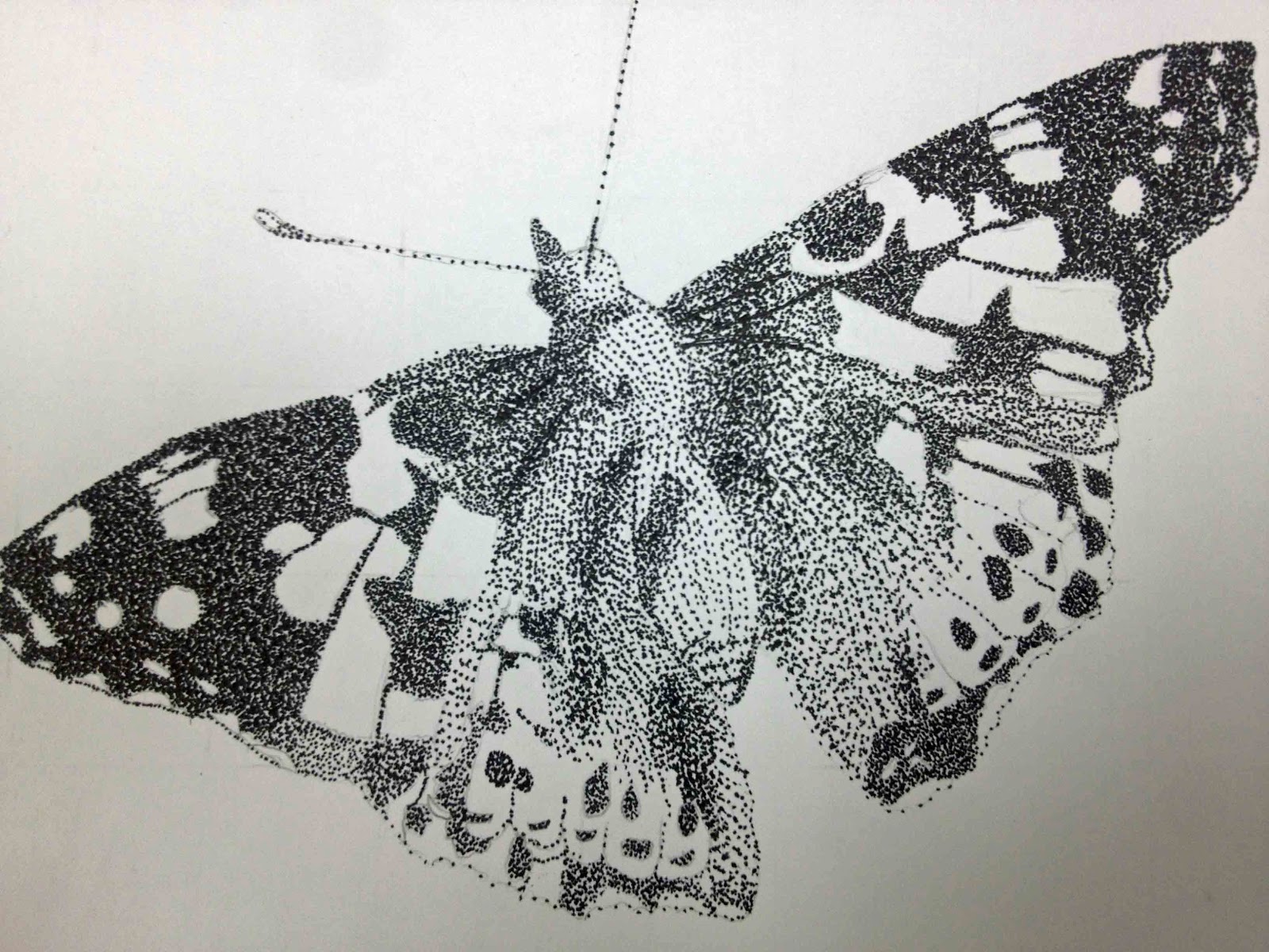 art @ the heart: Grade 9-10 Stipple Animals 2013 (AVI1O-AVI2O)