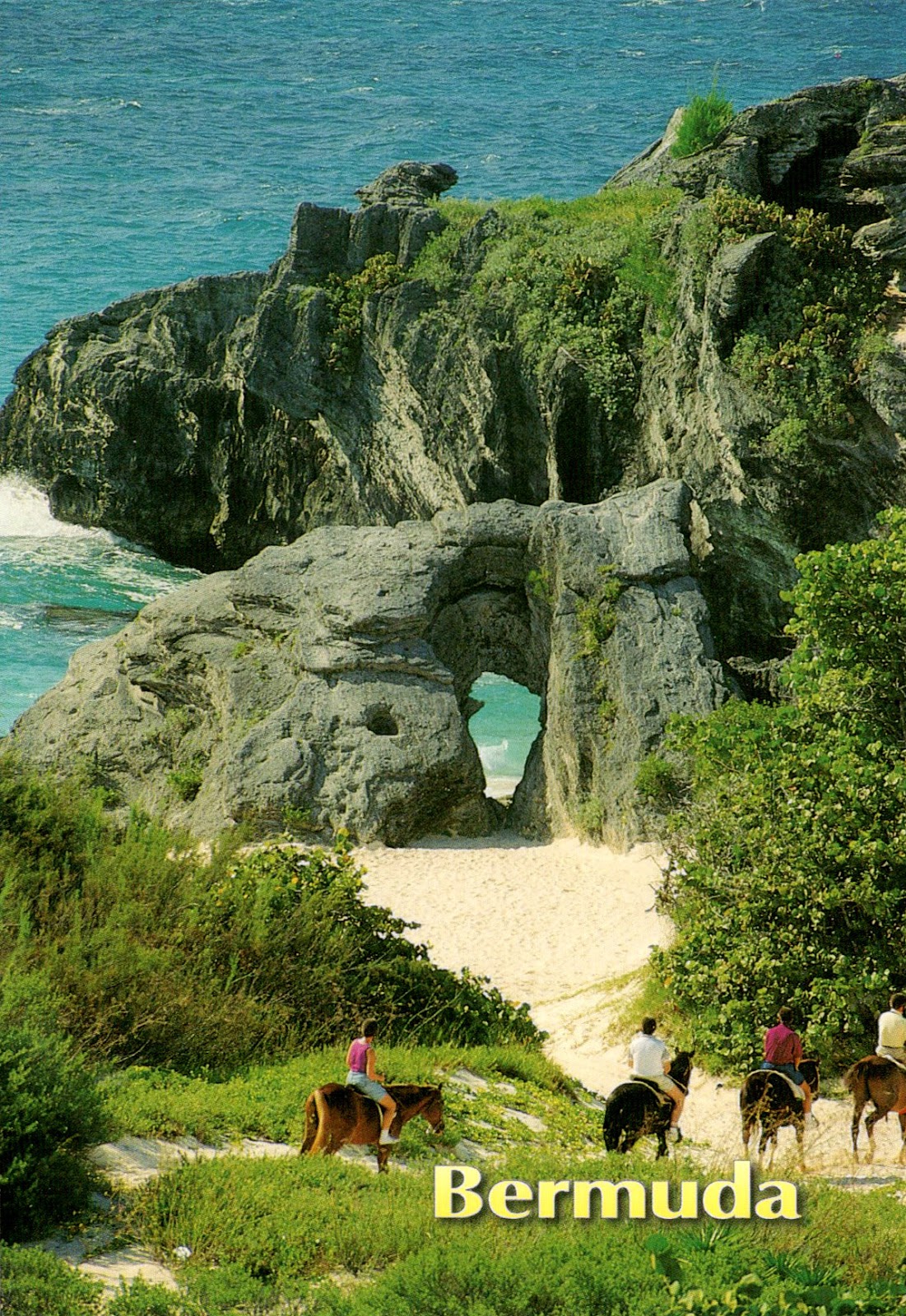 WORLD, COME TO MY HOME!: 2225 UNITED KINGDOM (Bermuda) - A horseback ...