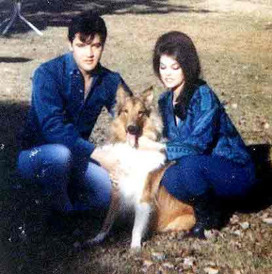 Las Mascotas de Elvis Presley | ENTRE EL CAOS Y EL ORDEN MAGAZINE