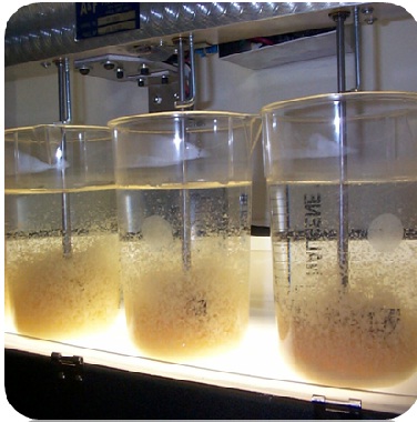 PRUEBA DE JARRA Y ENSAYOS DE