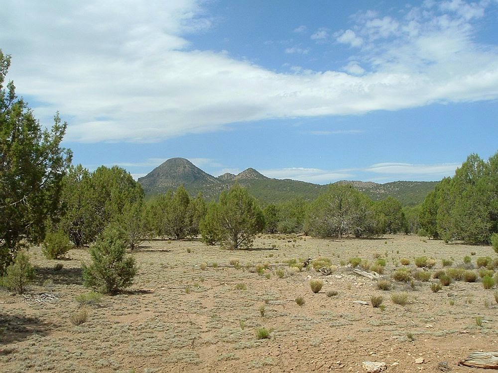 Cate`s Linens: A Day On The Coconino Plateau