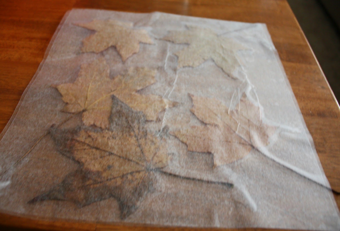 A Little Time and a Keyboard: Fall Leaf Window {Family Craft Time}