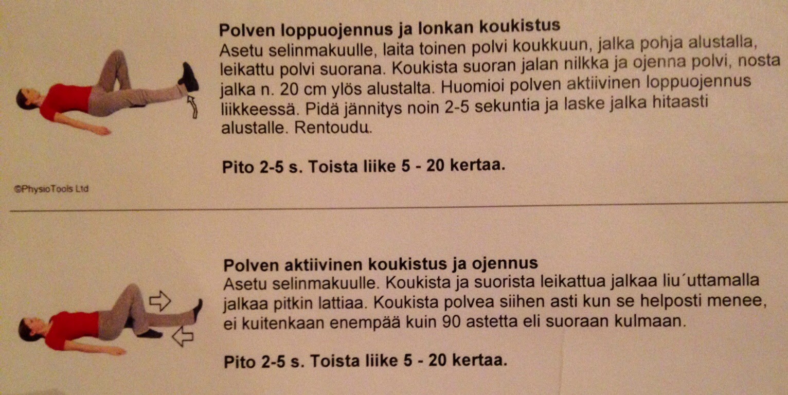 Polven kuntoutus jumppa – Fitness ja Terveellinen syöminen