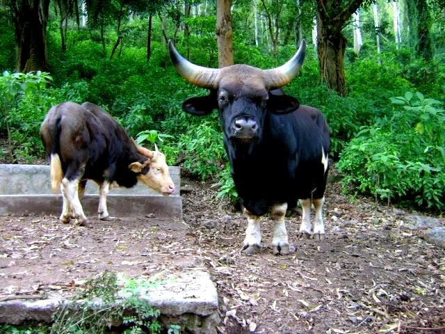 Destination India: The Sirmaur District, Himachal