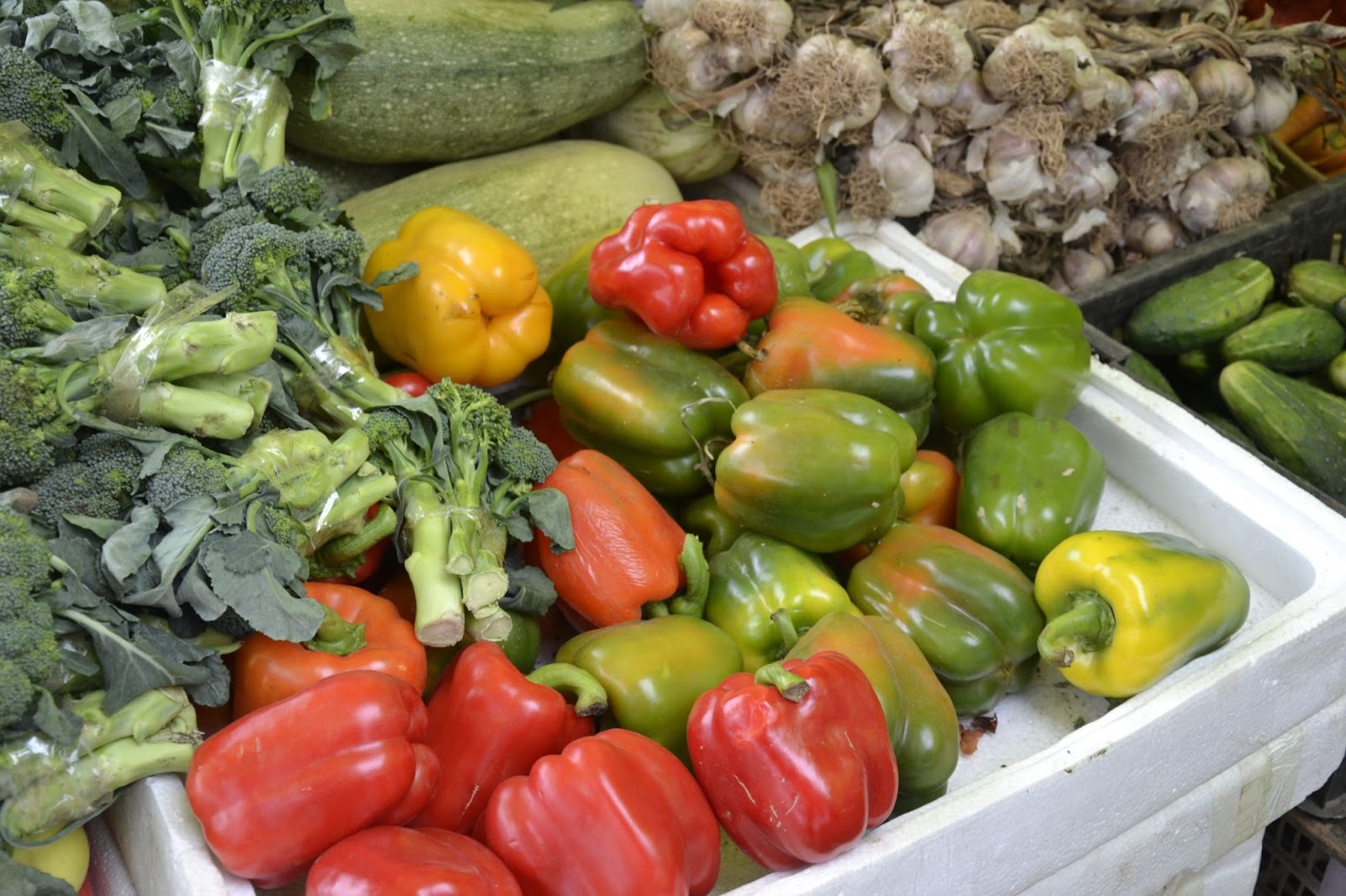 Homo agricola: septiembre 2013