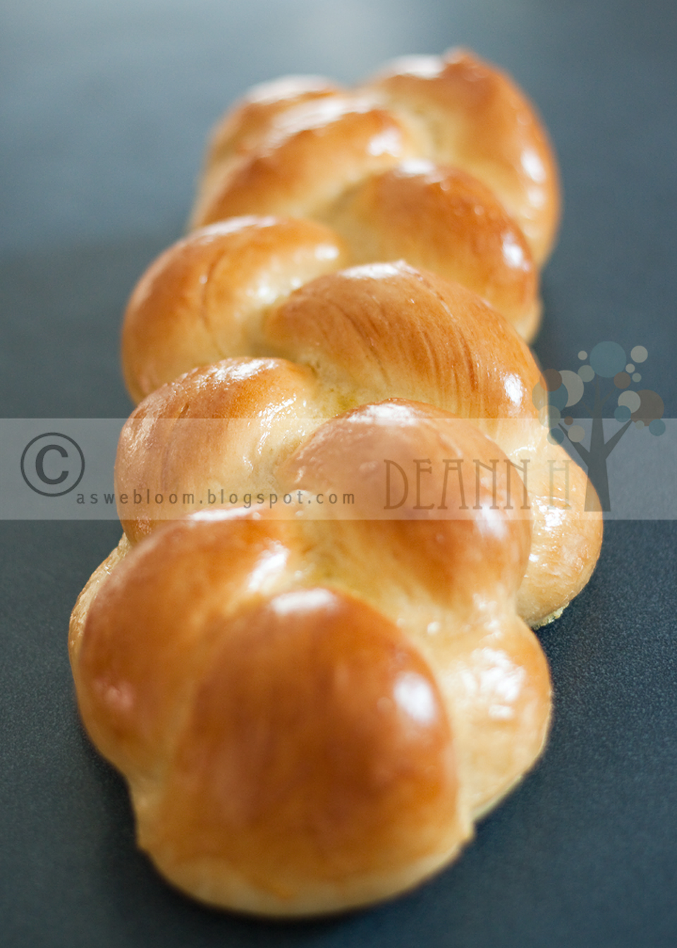 As We Bloom: THAT Bread: Swiss Zopf Bread