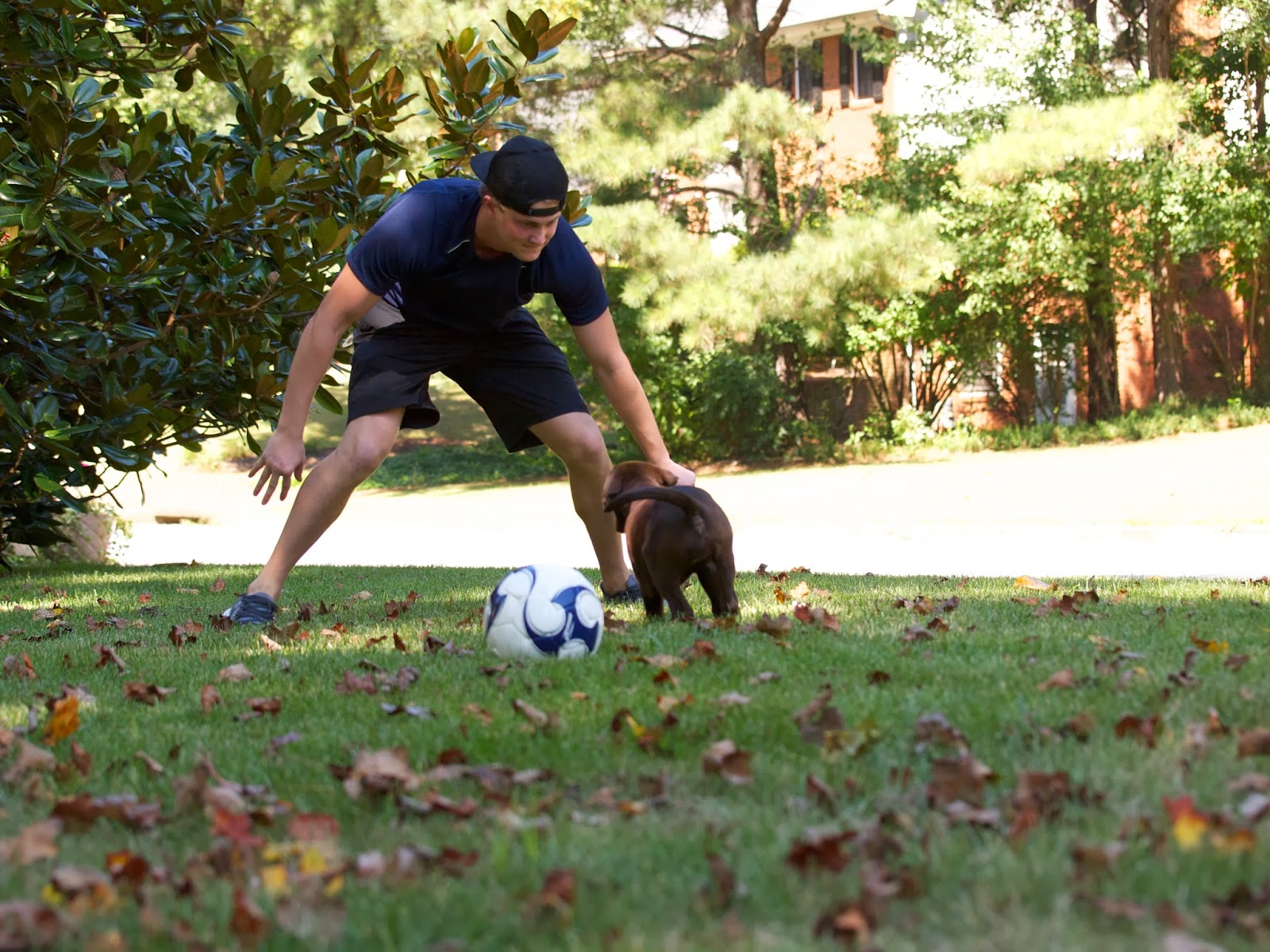 Jeffrey Thomas Lutton: November 2013